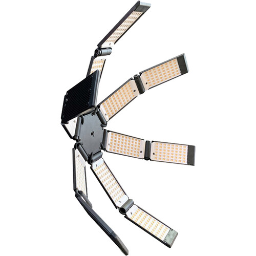 Hudson Spider | Red Star Pictures